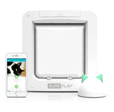 Identipet Online Store